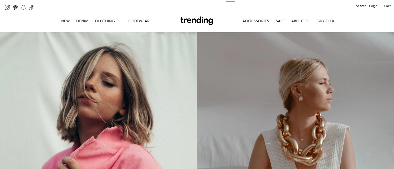 Flex Shopify Theme: Best For Predict Search & Product Filtering